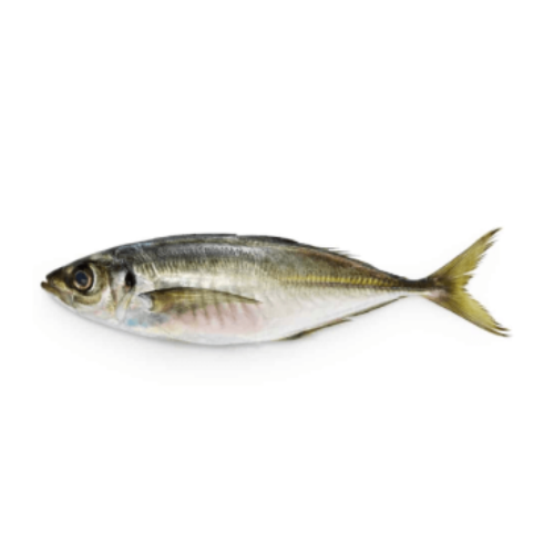 Ringa (Herring) fish (per kg) - Niamm Seafood