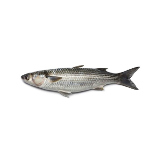 Mullet (boi) fish - (per kg) - Niamm Seafood